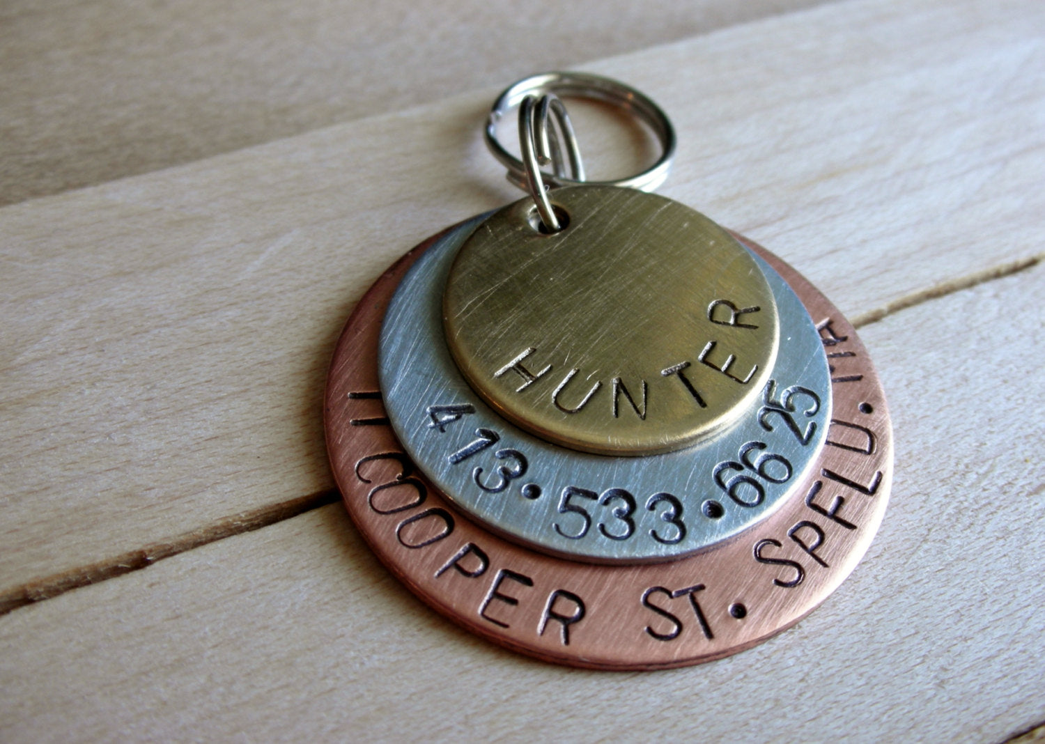 Hunter – The LandlockedDog
