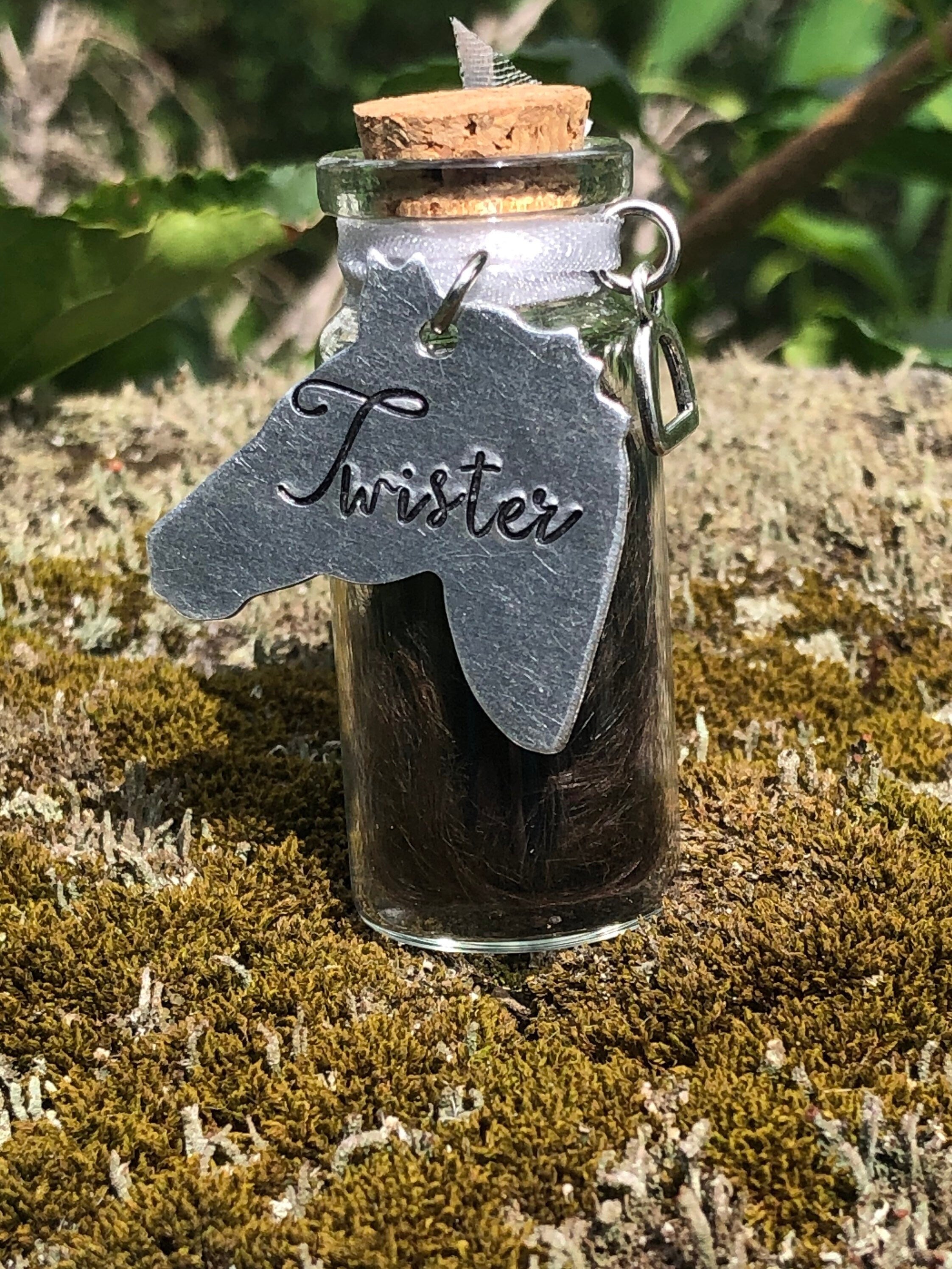 Horse Tail Memorial Keepsake, Equine Memorial Jar, Personalized Horse ...